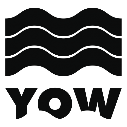 Yow Surf Cruiser - La grande nouveauté de Yow Surfskate